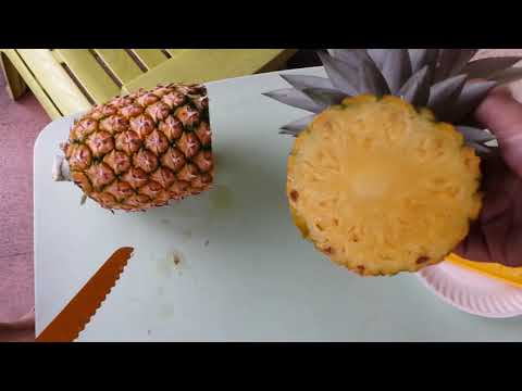 How to prepare your Pineapple (Ananas Comosus) to start a new plant!