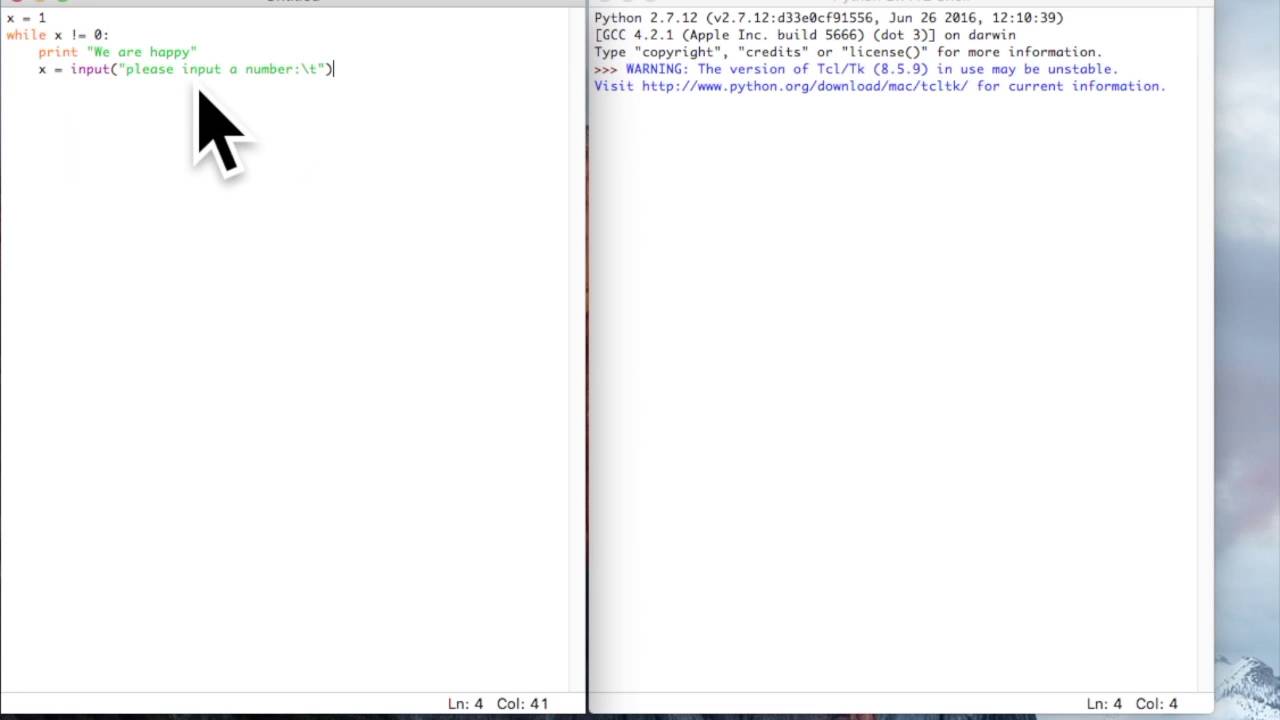Intro to Python: Loop Counting