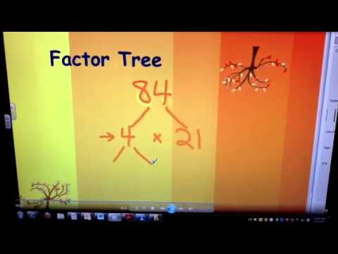 Prime factorization (factor tree)