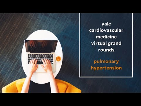 New Approaches to Illuminate the Pathobiology of Pulmonary Hypertension