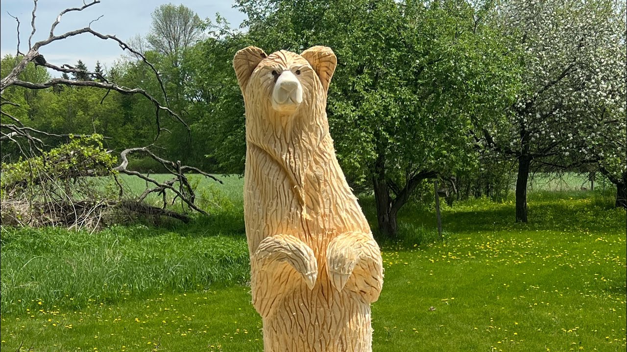 Bear Chainsaw Carving - Timelapse of a Bear Carving