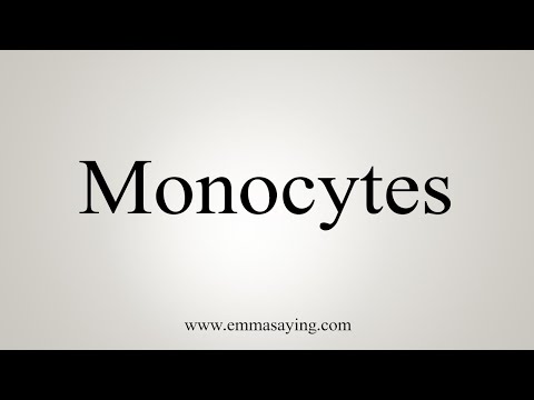 How To Say Monocytes
