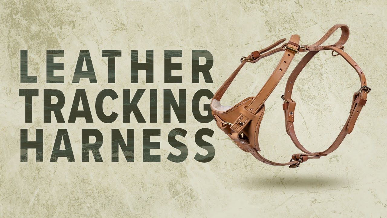 Leather Tracking Harness
