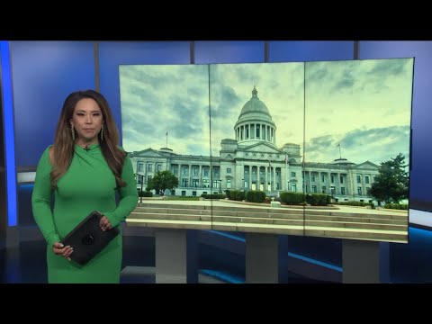 What is the Arkansas Freedom of Information Act?