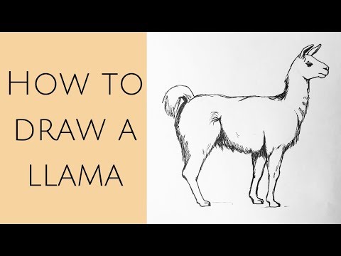 Llama Drawing Step by Step Tutorial – I'm Youtuber – Follow my videos ...