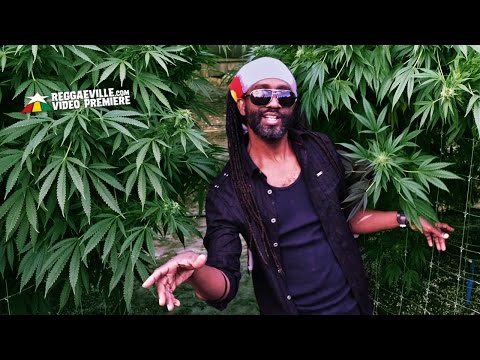 October Reign - Legally [Official Video 2016]