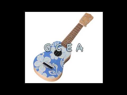 Best Ukulele Tuner