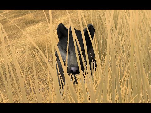 How to get a mate in wolfquest 2 7