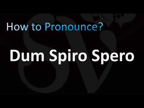 How to Pronounce Dum Spiro Spero (Latin)