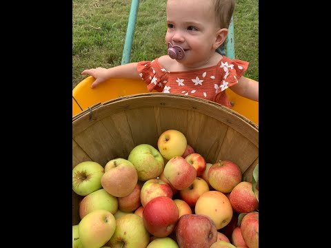 Processing A Bushel of Apples!