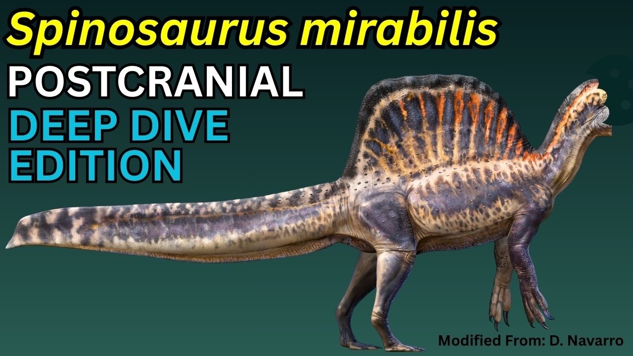 Spinosaurus mirabilis Paper Deep Dive: Postcranial Edition | Dr. BC Breaks It Down