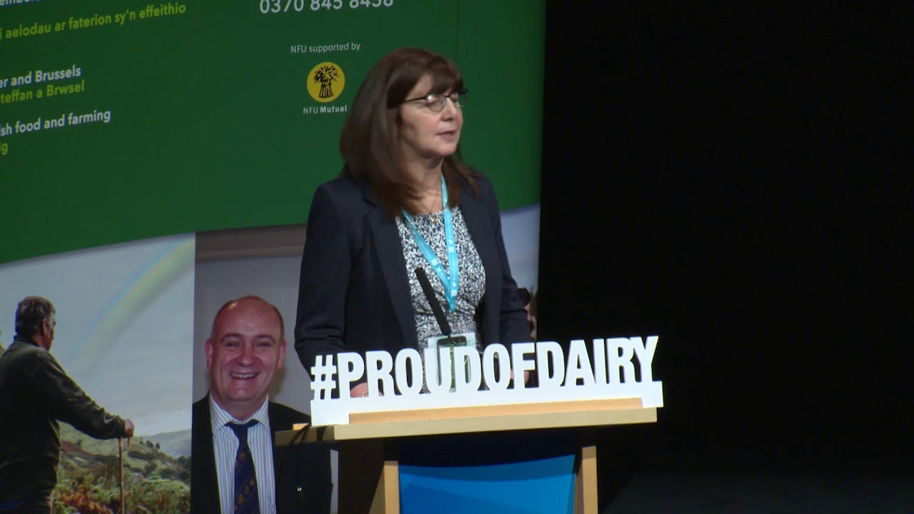 Lesley Griffiths, Cabinet Secretary for Environment and Rural Affairs, Welsh Government