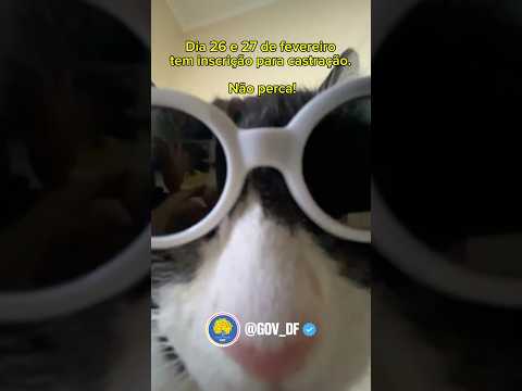 Faça o agendamento no agenda.df.gov.br e cuide do seu pet! #GDF