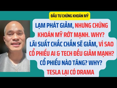 Lạm phát giảm, nhưng chứng khoán Mỹ đỏ. Cổ phiếu AI & Tech đều giảm mạnh? Why? Tesla?