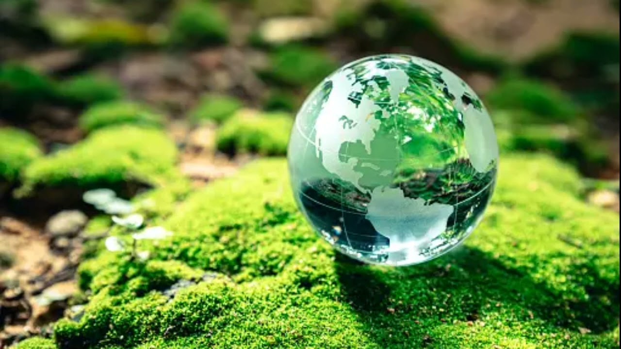 Green nature pictures| download free image | no copyright free 2023