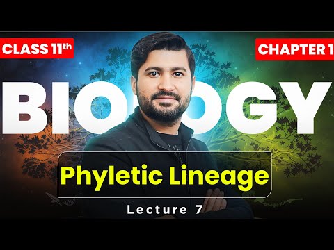 Phyletic lineage chap 1 lec 7 fsc 1 by irtisamsbiology