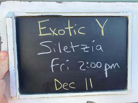 Exotic Y: Siletzia