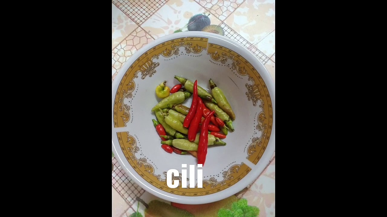 PROJEK BIOLOGI JERUK CILI(TINGKATAN 4)