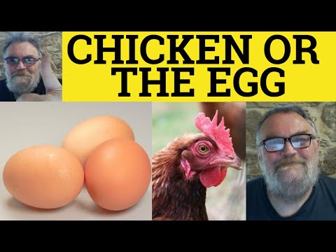 🔵 Chicken or the Egg Meaning - Which Came First The Chicken Or The Egg Examples - Paradox Causality