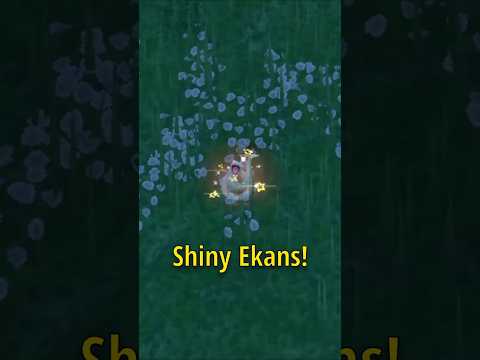 FAST way to Shiny Hunt without a SHINY SANDWICH in Pokémon Scarlet & Violet!