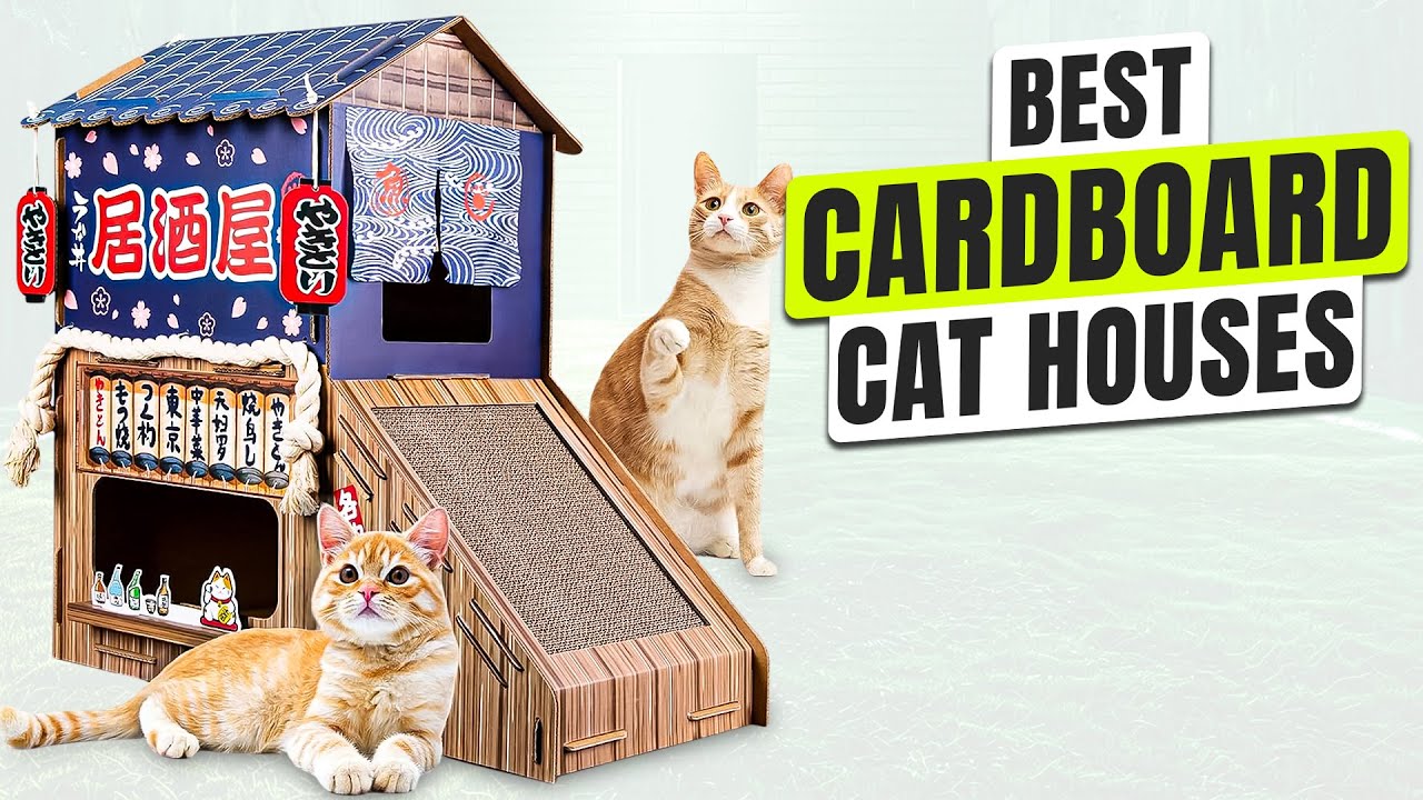 3 BEST Cardboard Cat House - Don’t Let Your Cat Miss the Fun!