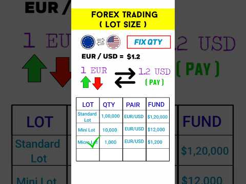 Forex Trading Lot Size Explained in Hindi | Lot Size in Forex Trading #shorts
