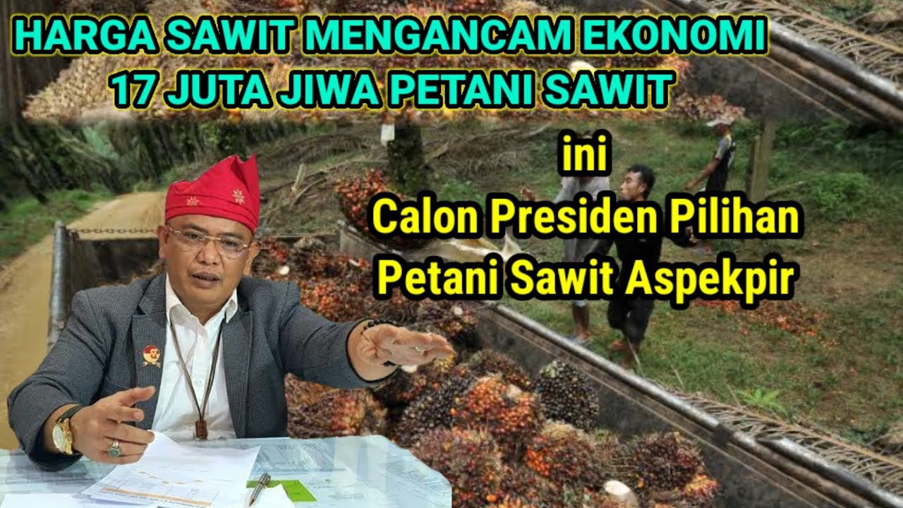 Capres pilihan petani sawit Aspekpir #hargasawit