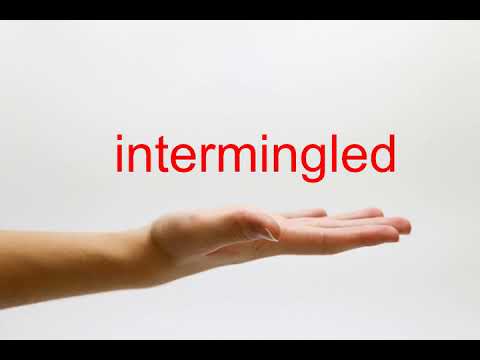 How to Pronounce intermingled - American English