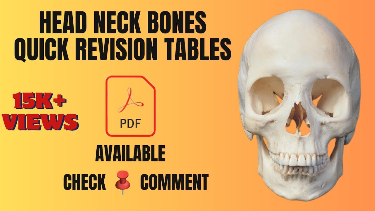 36 Head Neck Bones - Quick Revision | Skull | 📝For PDF Notes, Check Description Box