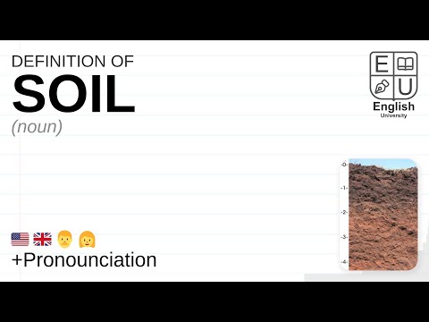 SOIL meaning, definition & pronunciation | What is SOIL? | How to say SOIL