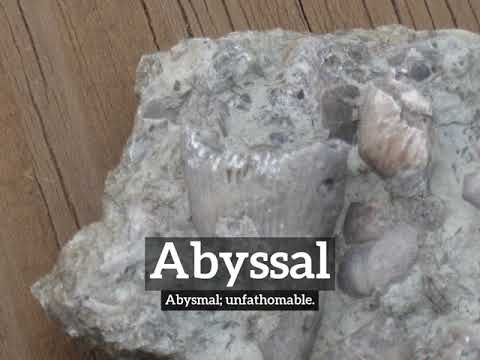 How to Say Abyssal in English? | How Does Abyssal Look? | What is Abyssal?