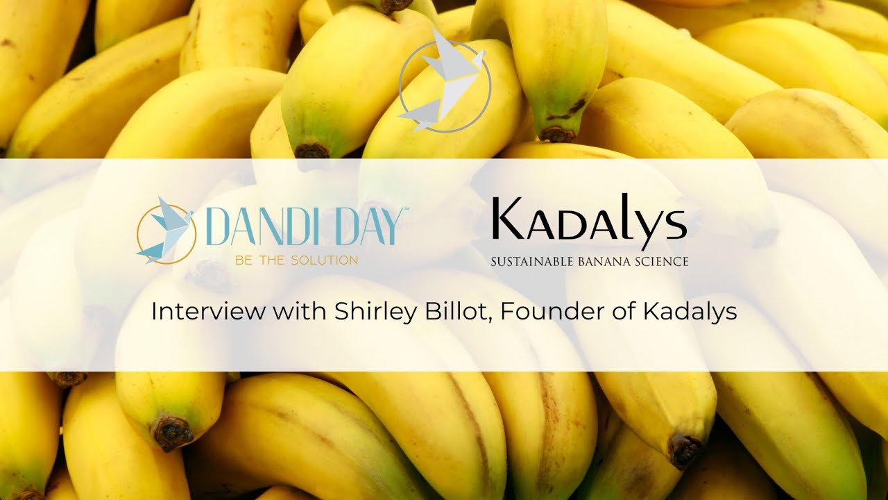 Interview w/ Shirley Billot, Founder of Kadalys