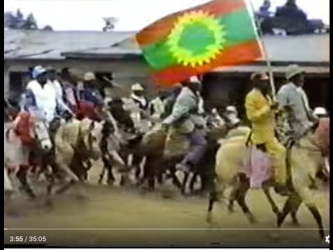 Waajjira ABO Godina Lixa Shaggar Magaalaa Jalduu Bara 1991/ Galmee ...