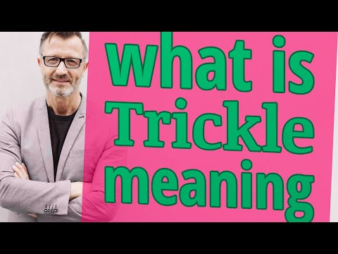Trickle | Definition of trickle