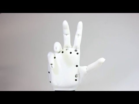 Ada Robotic Hand by openbionics - Thingiverse