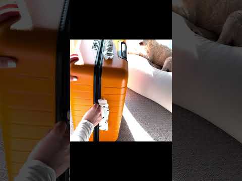 Away Travel's Medium Classic Suitcase Unboxing: Journey in Style! 🧳✨