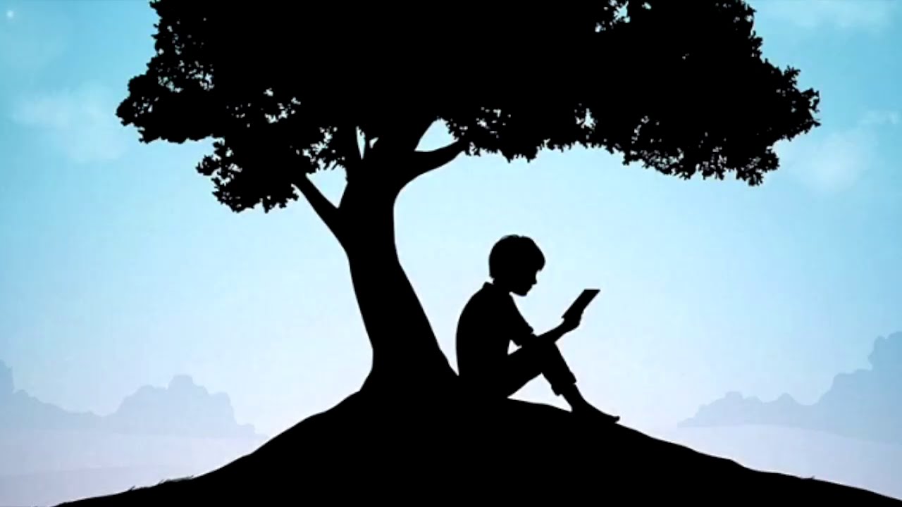 Cómo COMPRAR y LEER tu PRIMER LIBRO ELECTRÓNICO (2) en tu celular o tablet (KINDLE)