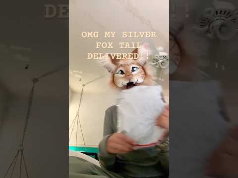SILVER FOX TAIL UNBOXING (shoutout to chimera taxidermy) [ #silverfox #taxidermy #unboxing #therian