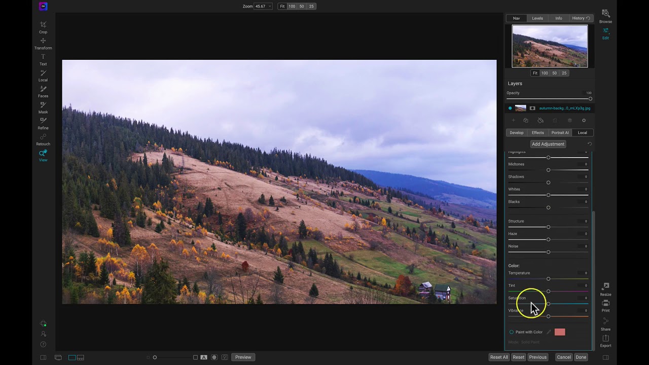Using Brushes to Creatively Enhance Photos
