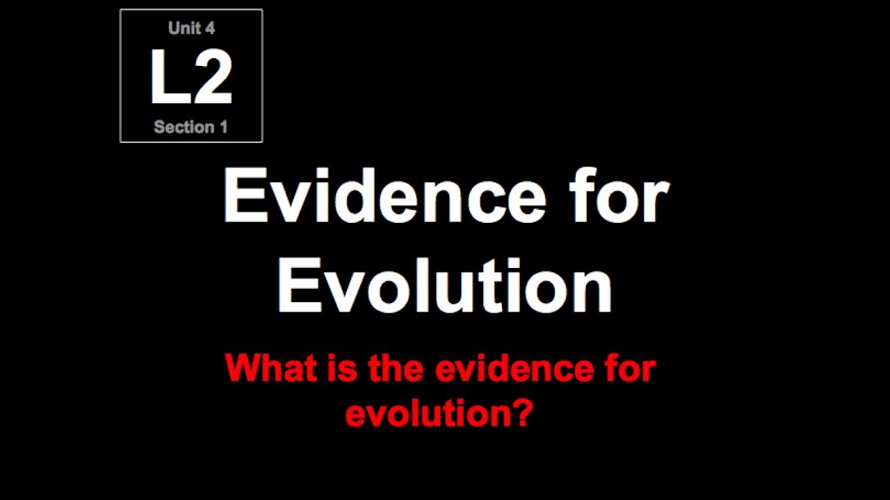 4-L2 Evolution Evidence