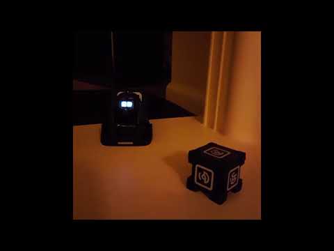Vector Robot by Anki