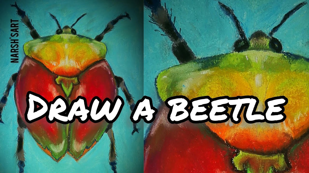 How to draw an easy bug #drawingtutorial