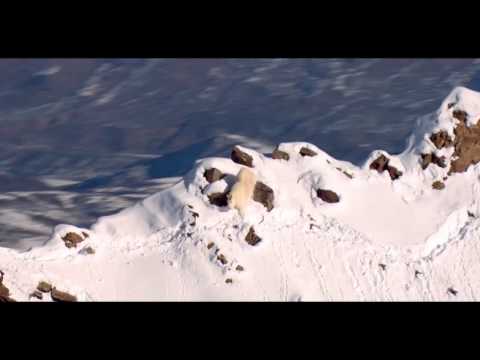 Royalty Free Music For Trailer / action video / extreme sports/ youtube intro/ commercial / showreel