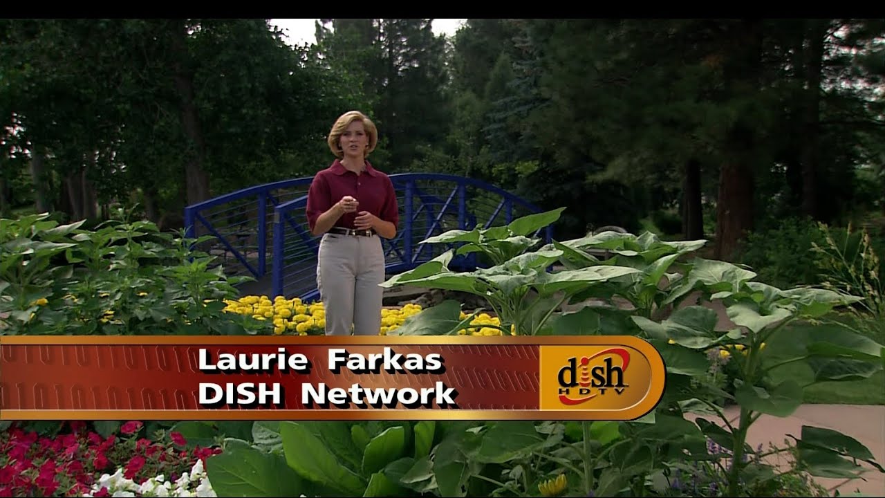 Dish Network HDTV Demo (2001)