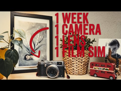 One Week One Camera One Lens One Film Sim // X100T + Kodacolor