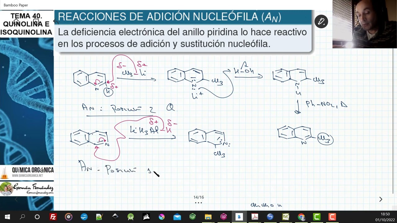 TEMA 40. QUINOLINA E ISOQUINOLINA | 40.6. ADICIÓN NUCLEÓFILA