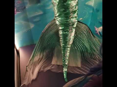 Ariel's dress from Disney's The Little Mermaid 2019 Live show