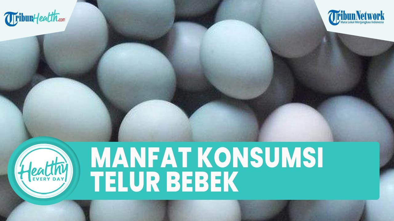 Fakta Konsumsi Telur Bebek Memiliki Manfaat untuk Tubuh: Bagus untuk ...