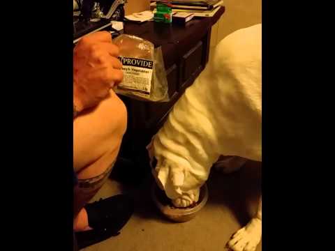 AllProvide Frozen Dog Food