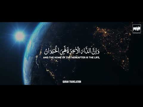 point to ponder|urdu translation for quran